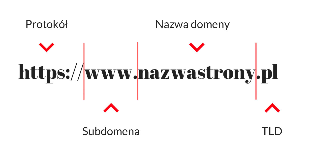 Domena internetowa bez tajemnic. Definicja i przykłady